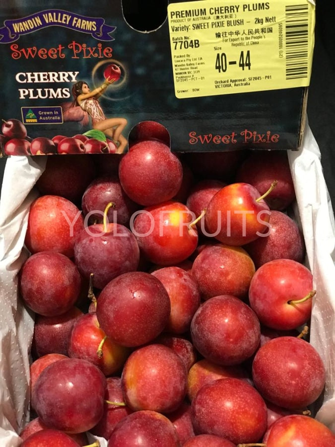 Australia Sweet Pixie Cherry Plums (Set of 4) | YOLOFRUITS