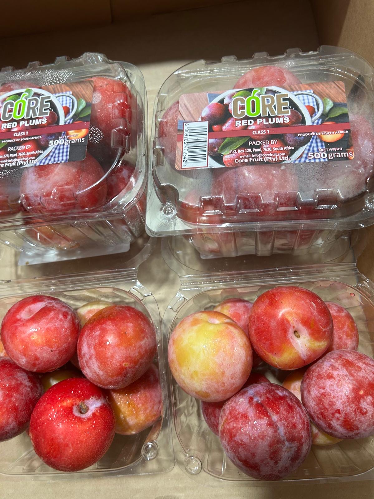 South Africa CORE Red Plums (per box 500g) | YOLOFRUITS