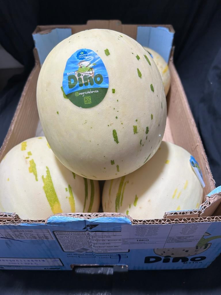 Australia Dino Melon Jumbo | YOLOFRUITS