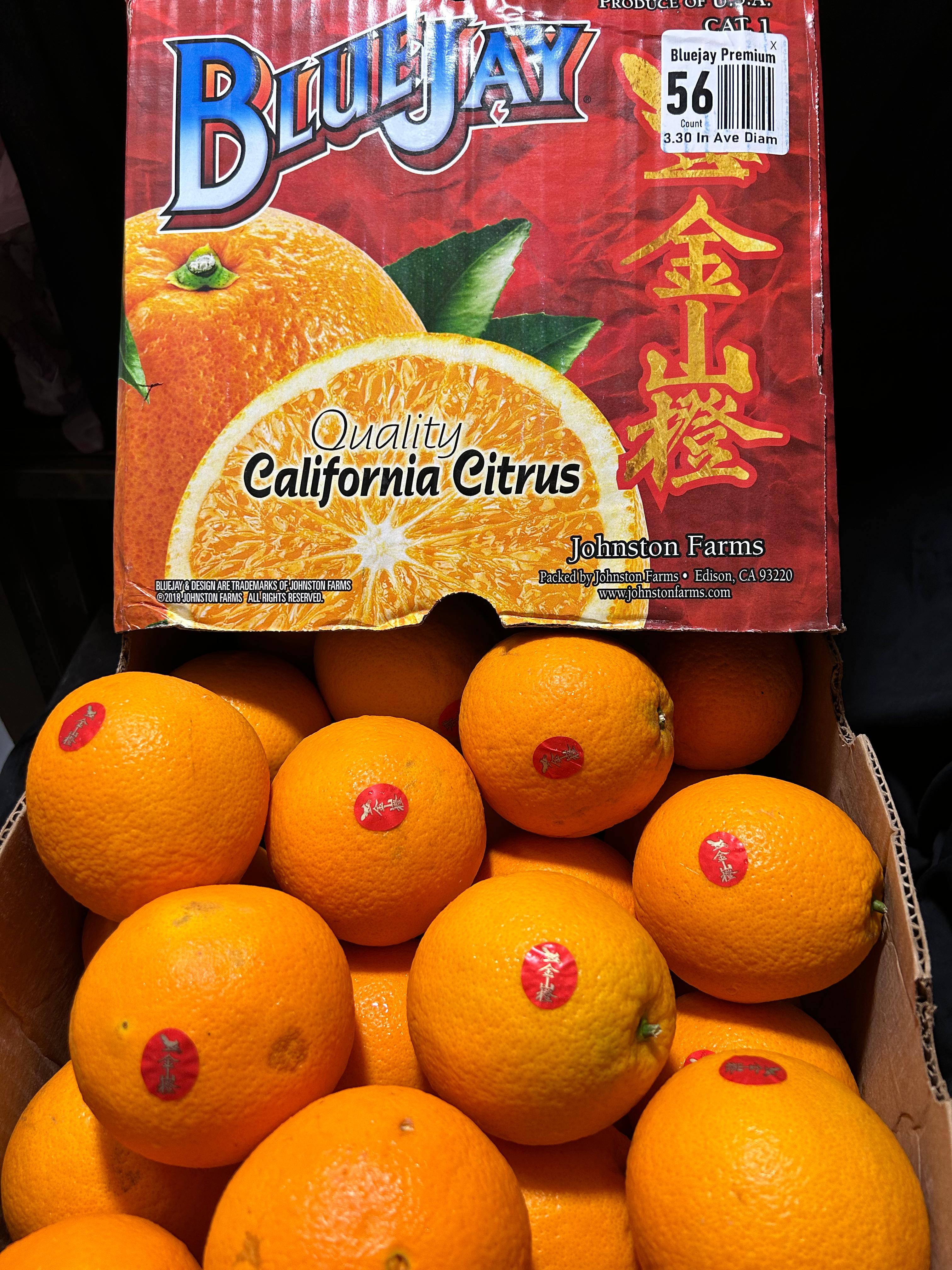 USA Blue Jay Premium Oranges Jumbo, 金山橙 (Set of 4) | YOLOFRUITS