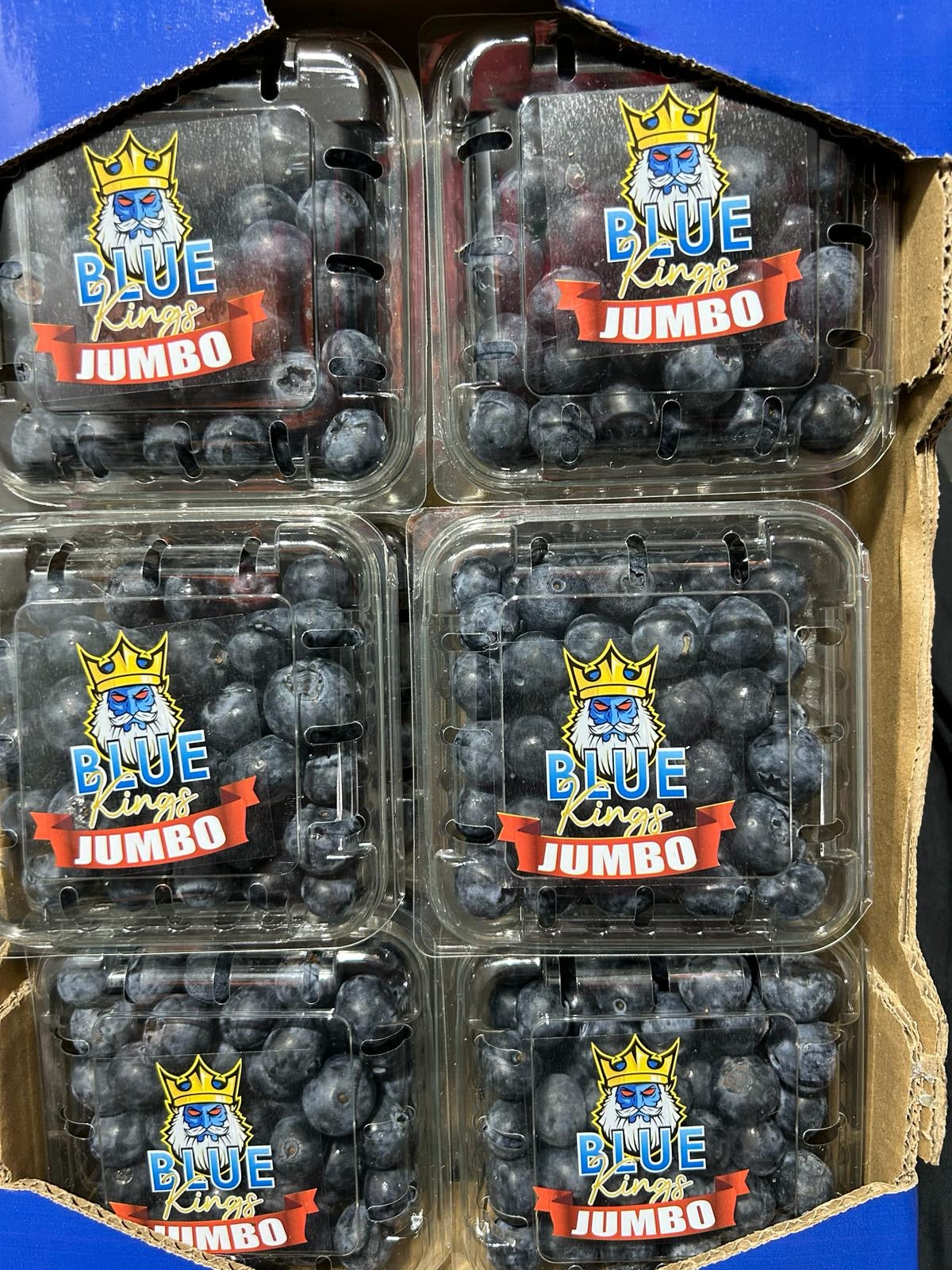 Spain Blue Kings Jumbo Blue Blueberries 125g (Set of 2) | YOLOFRUITS