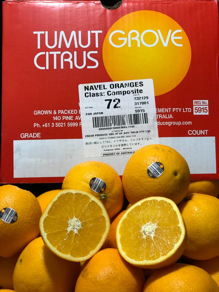 Australia Navel Oranges Large (Set of 5) | YOLOFRUITS