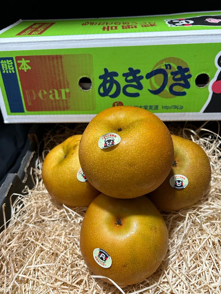 Japan Kumamoto Jumbo Akizuki Pear | YOLOFRUITS