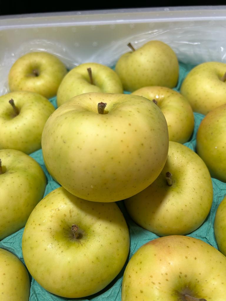 Japan Aomori Toki Apples (Set of 2) | YOLOFRUITS