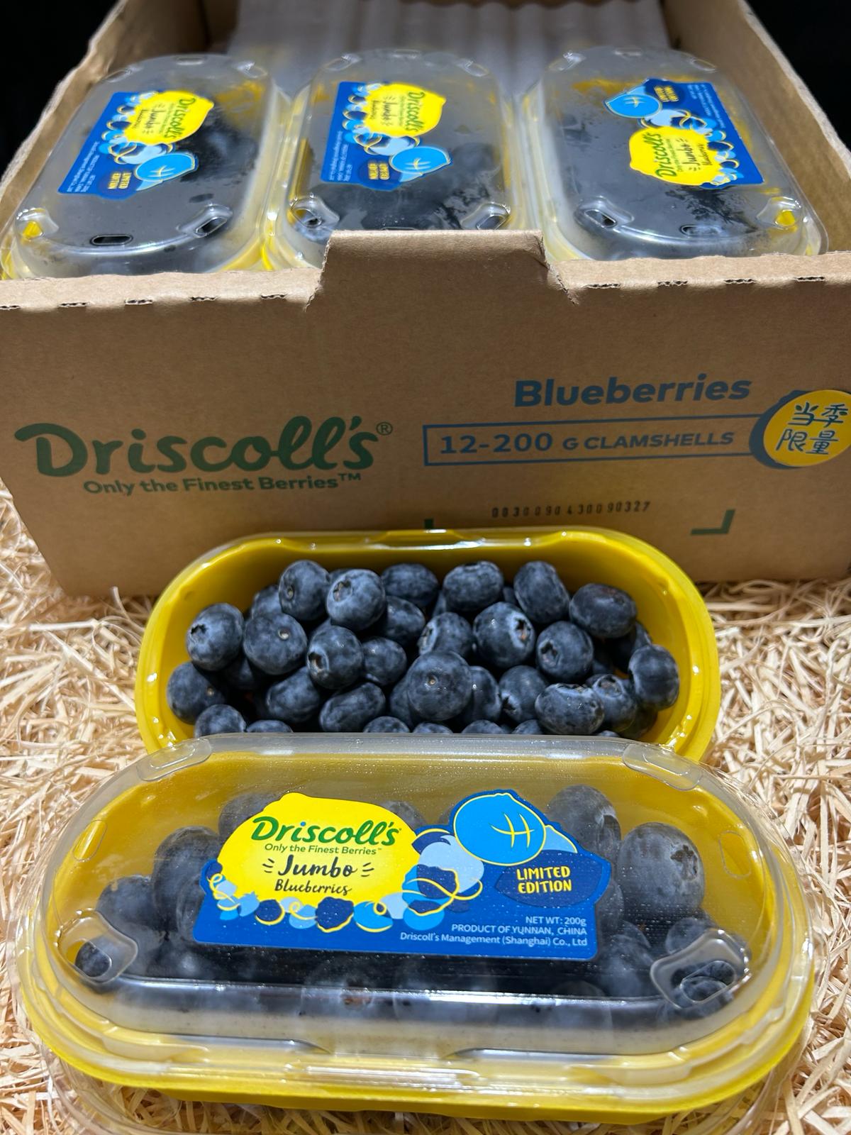 China Driscolls Jumbo Blueberries (per box 200g) | YOLOFRUITS