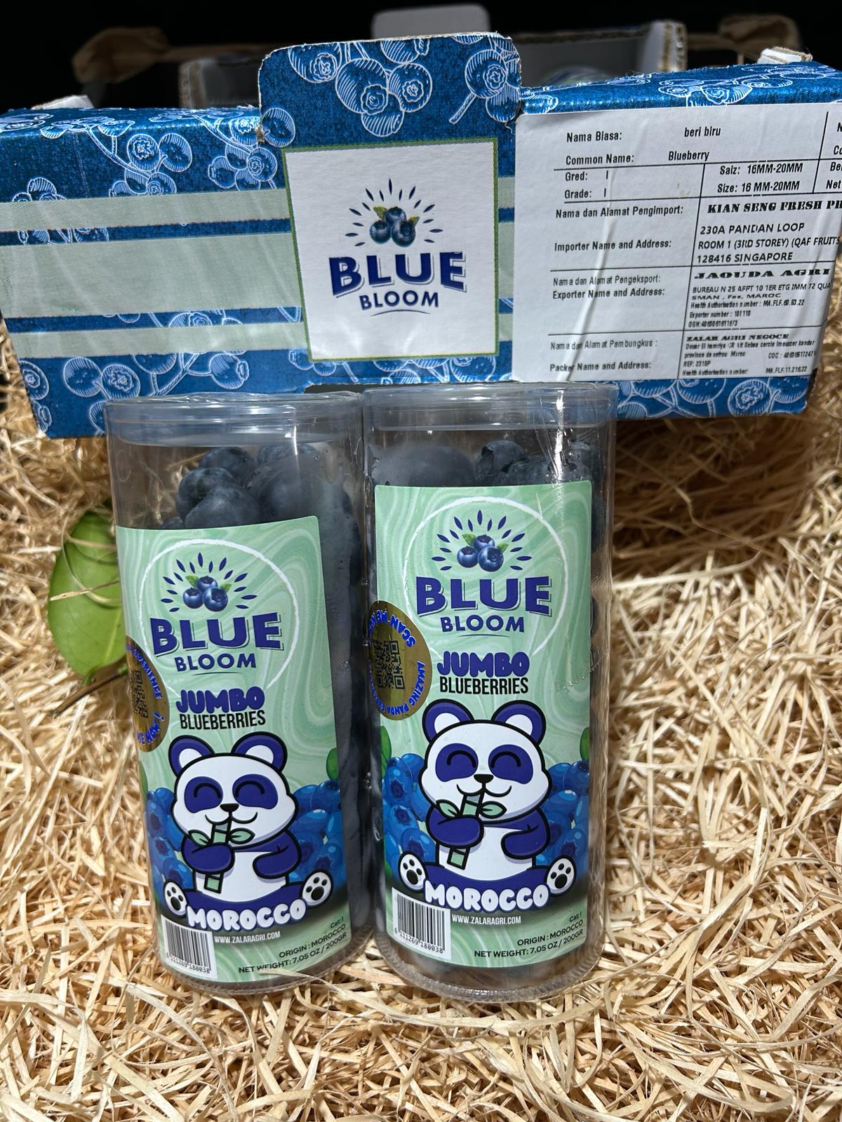 Morocco Blue Bloom Jumbo Blueberries 200g (per box) | YOLOFRUITS