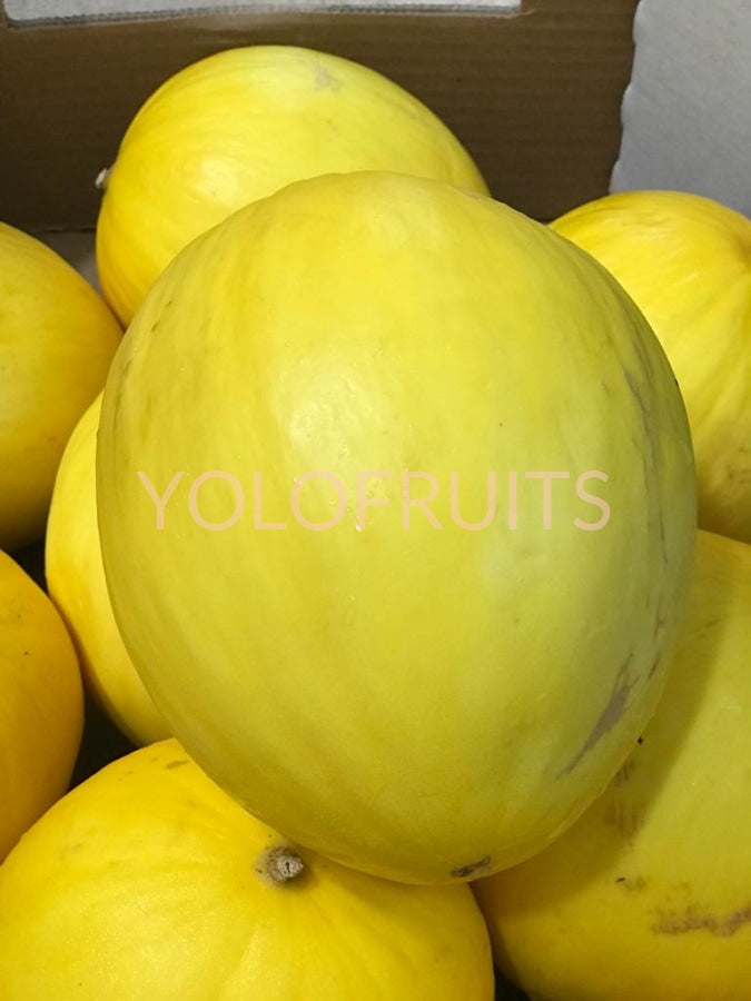 Products | YOLOFRUITS