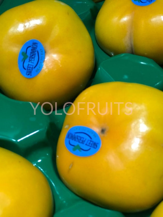 Australia Persimmons Medium-Large (Set of 2) | YOLOFRUITS