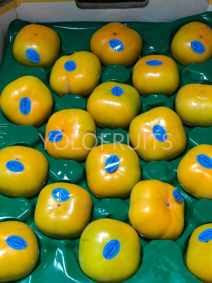 Products | YOLOFRUITS