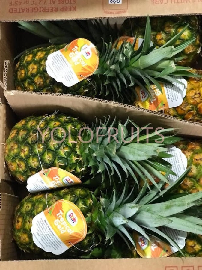 Dole Tropical Gold Pineapple | YOLOFRUITS