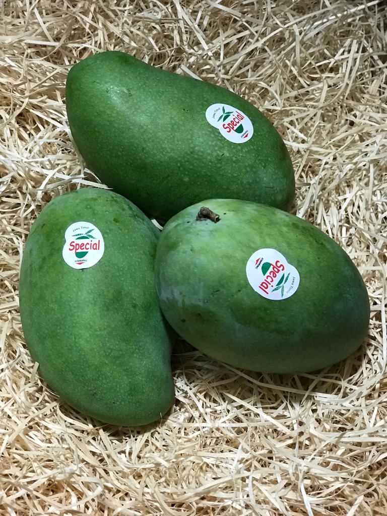 Indonesia Harumanis Mango (Set of 3) | YOLOFRUITS