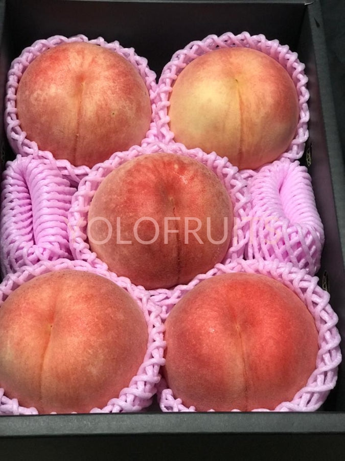 Products | YOLOFRUITS