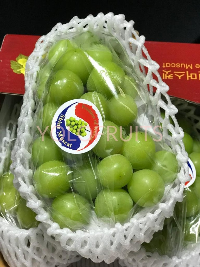 Korea Shine Muscat Grapes | YOLOFRUITS