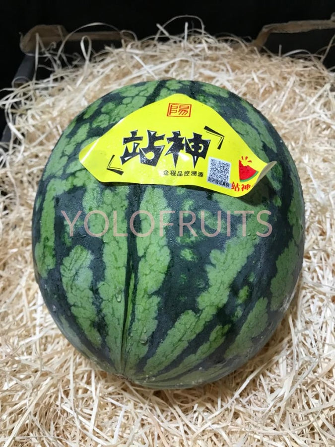 Red Watermelon (Japan breed) | YOLOFRUITS