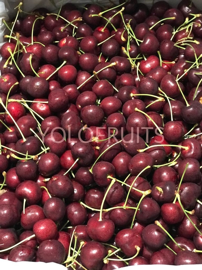 USA Red Cherries 9R | YOLOFRUITS