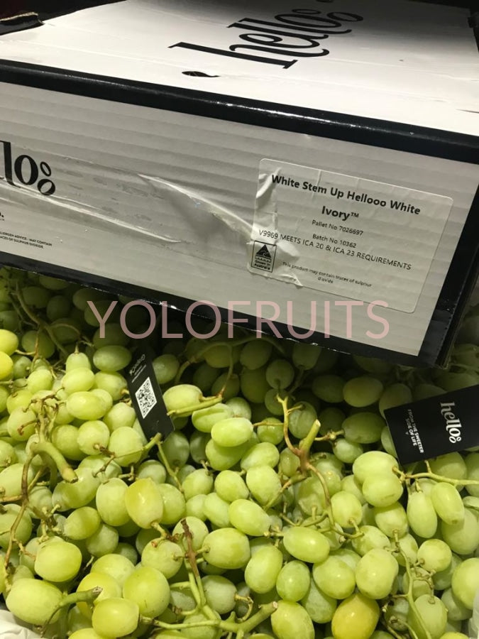 Products | YOLOFRUITS