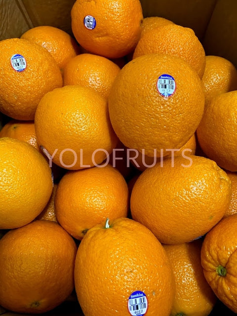 Australia Navel Oranges Jumbo (Set of 4) | YOLOFRUITS