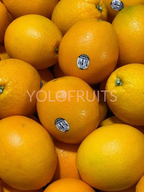 Australia Navel Oranges Large (Set of 5) | YOLOFRUITS