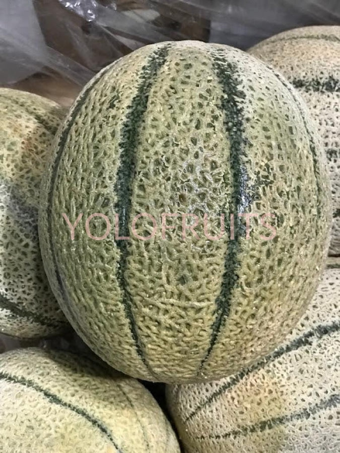 Australia Rockmelon Jumbo | YOLOFRUITS