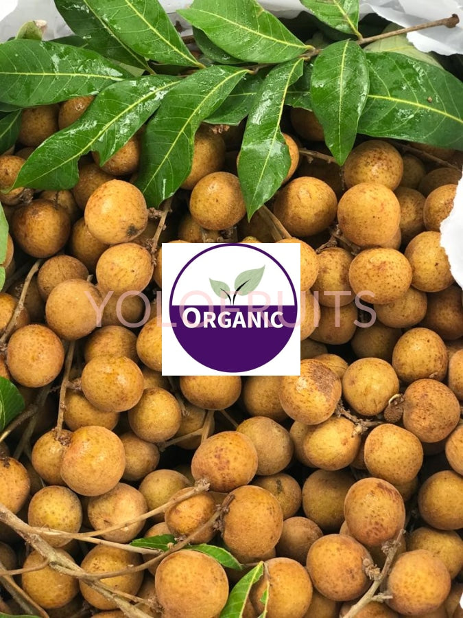 Thailand Organic Longans (~1kg) | YOLOFRUITS